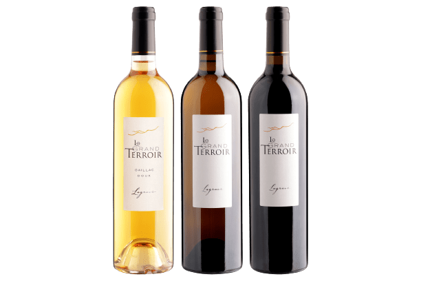 Archives de Le Grand Terroir - Terroir de Lagrave